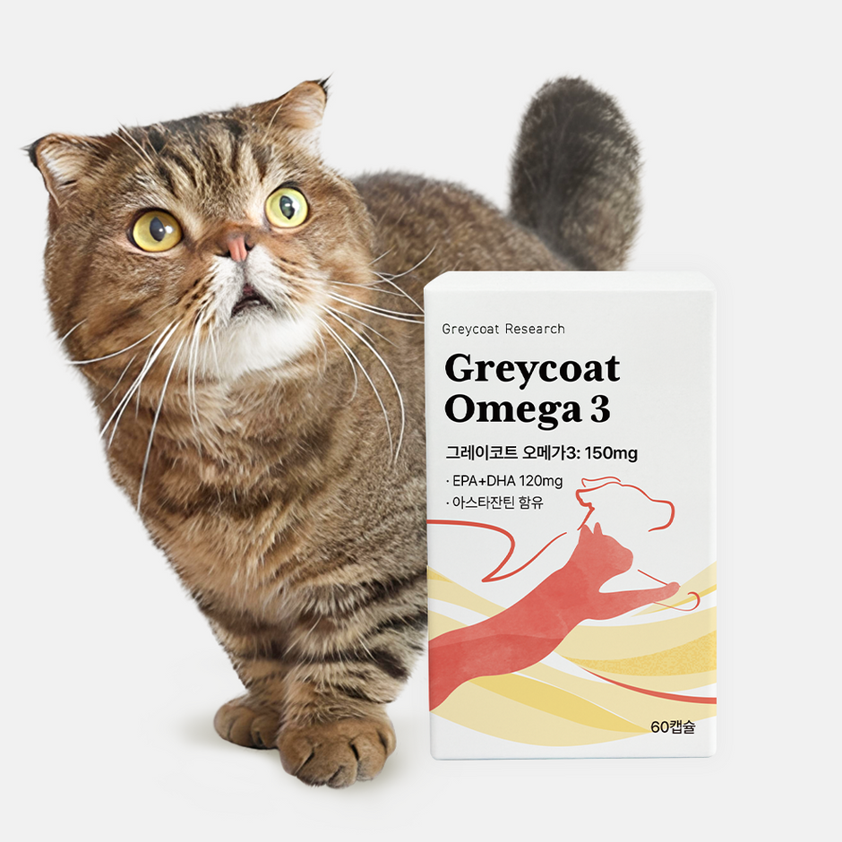 Why Some CKD Cats Can’t Tolerate Omega-3 (Even When It’s ‘Good ...