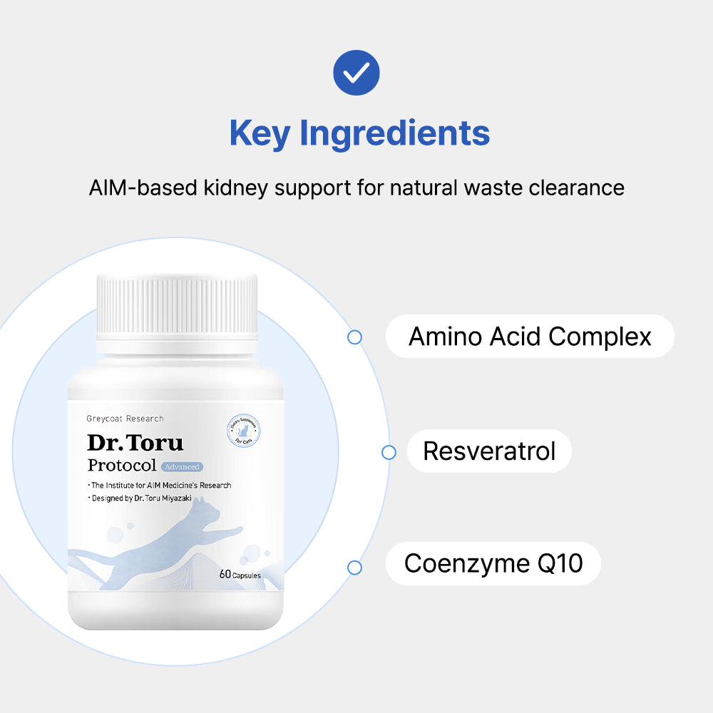 Dr. Toru Protocol | AIM Kidney Support for Cats – Greycoat Research
