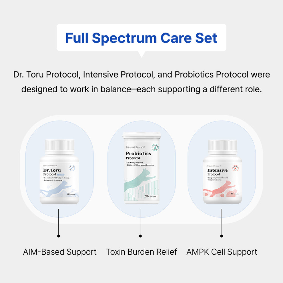 Dr. Toru Protocol | AIM Kidney Support for Cats – Greycoat Research
