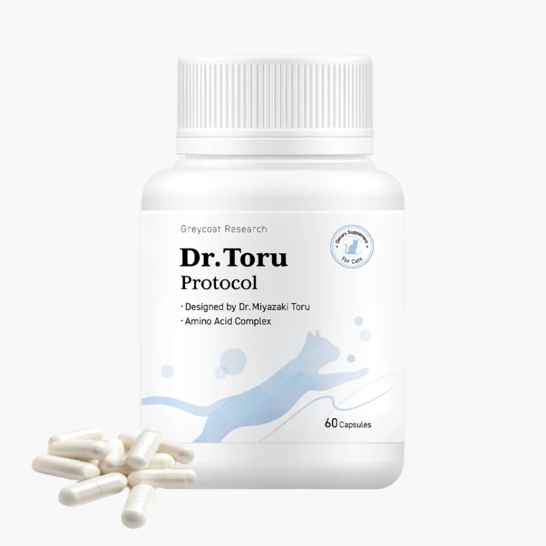 Dr. Toru Protocol – Greycoat Research