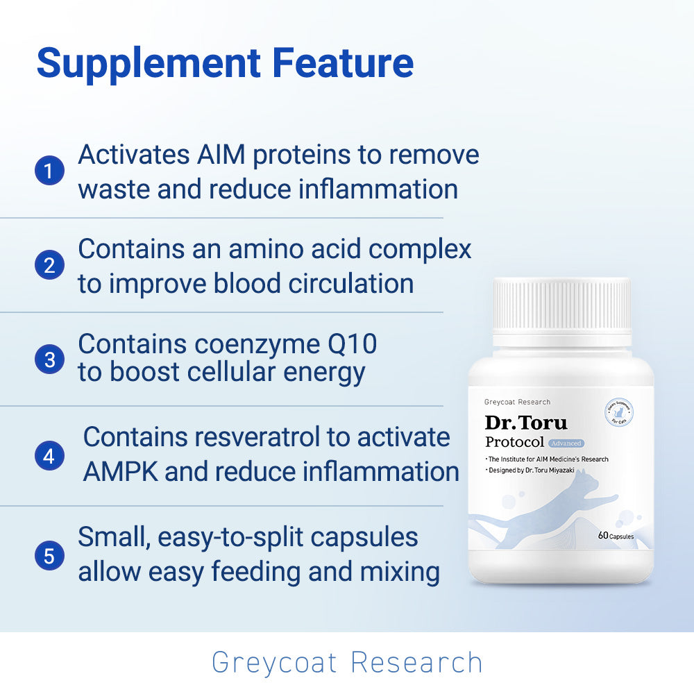 Dr. Toru Protocol – Greycoat Research