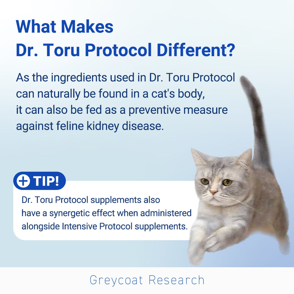 Dr. Toru Protocol – Greycoat Research