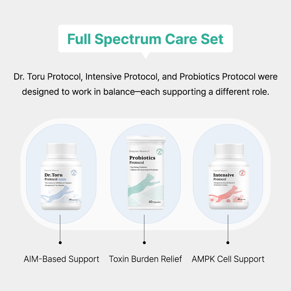 Probiotics Protocol | Kidney Toxin Burden Support for Cats – Greycoat Research