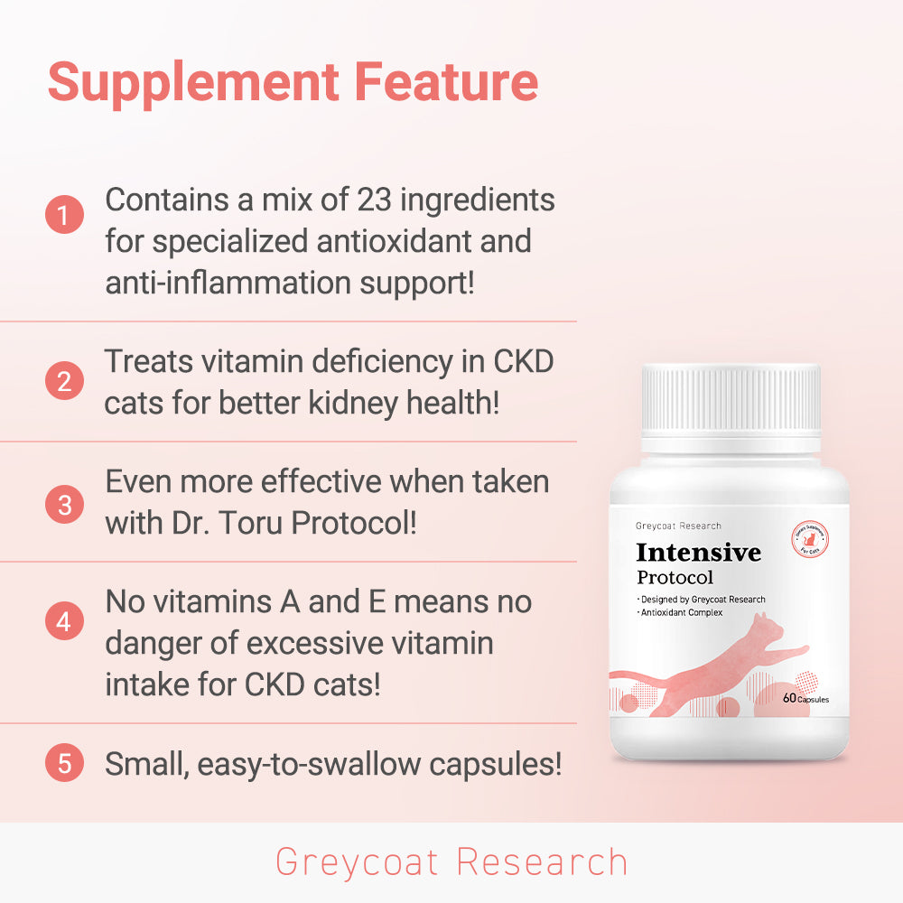 Intensive Protocol – Greycoat Research