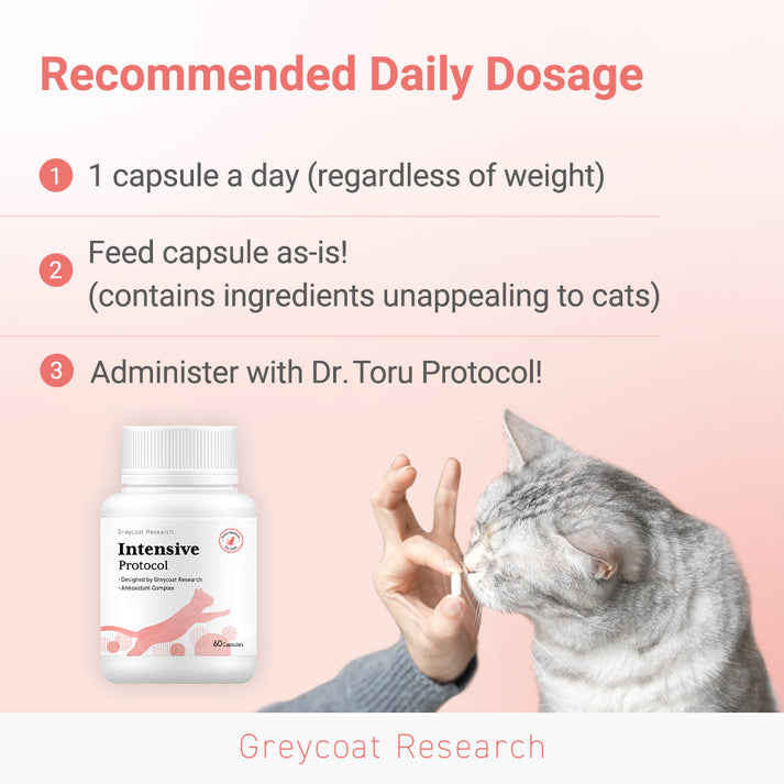 Intensive Protocol – Greycoat Research